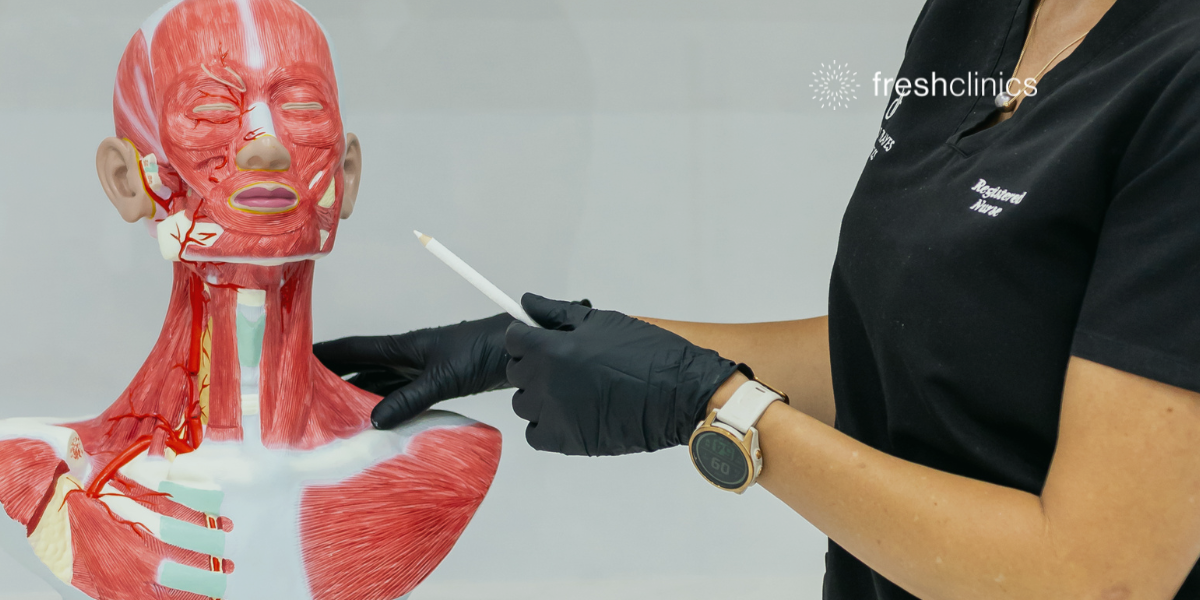 Managing Vascular Occlusions: Insights from Dr Holbrook